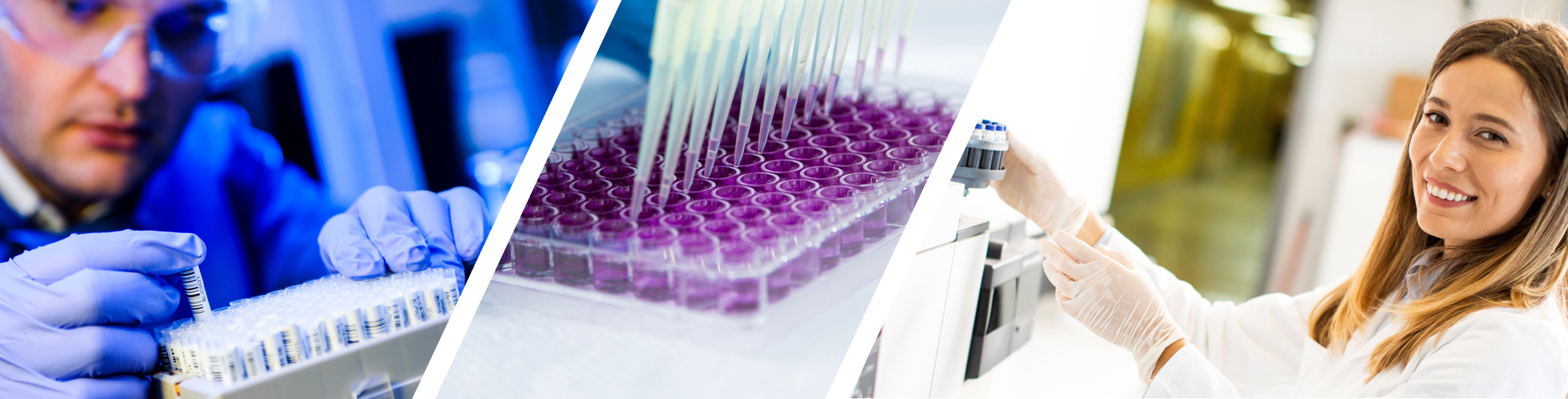 LIMS & ELN for Bioanalysis in One Comprehensive Enterprise Platform