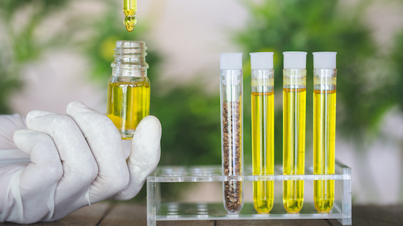 An Online Guide to QC Testing for Cannabis Laboratories